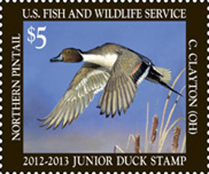 Sales of new Federal Duck Stamp open across nation