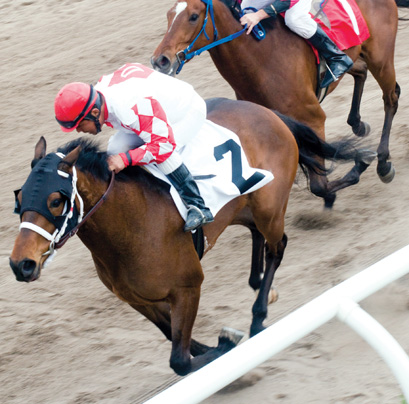 'Diamond Showcase' sparkles at Elloree Trials