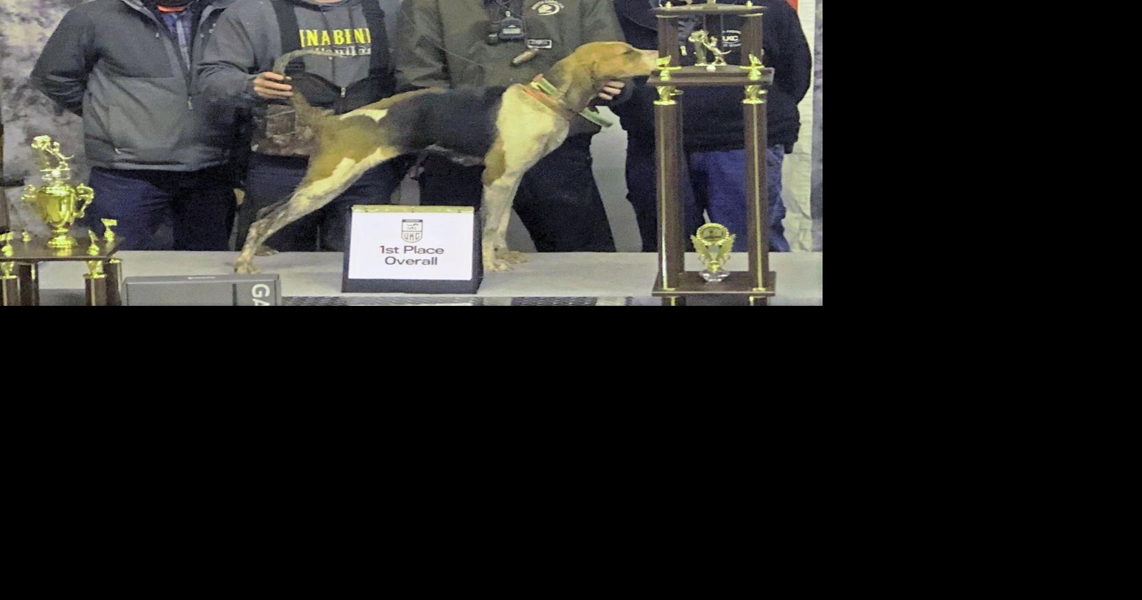 GRAND AMERICAN COON HUNT: Timber Rockin Mia wins 2021 Grand American ...