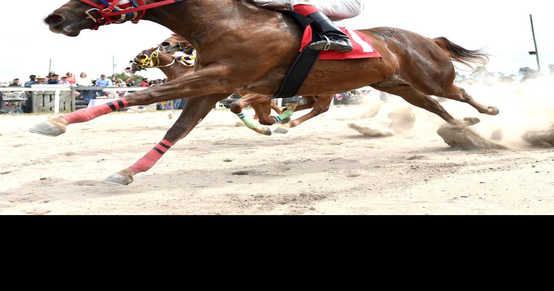 Small Town Big Timing a fitting name for winner of Elloree Cup at ...