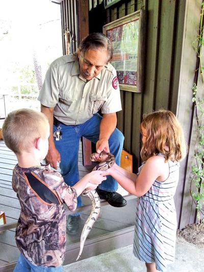Herpetologist bitten by a rattlesnake and taipan says snakes get bad rap