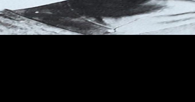 Janice Samuels-Williams -- Jacksonville, Fla.