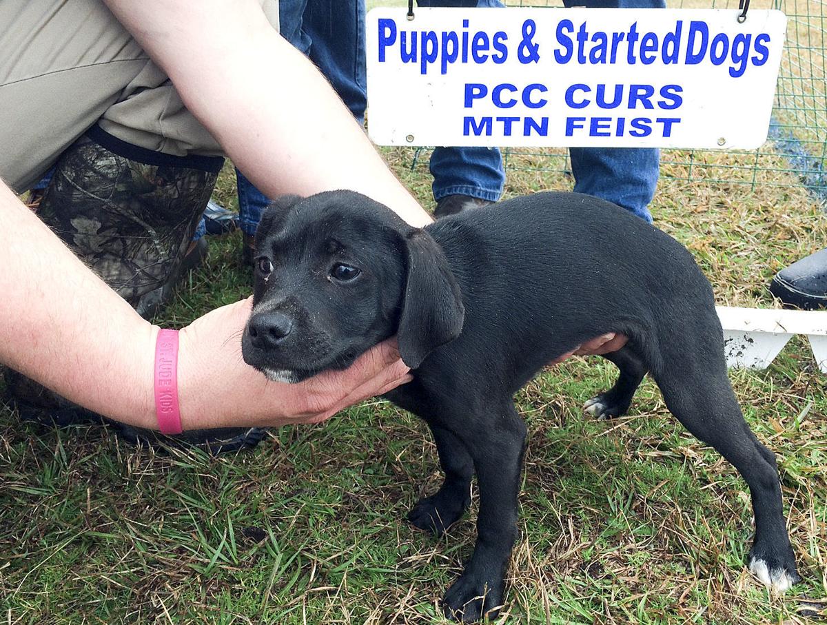 More than a hunt: Grand American offers friendship and fellowship ...