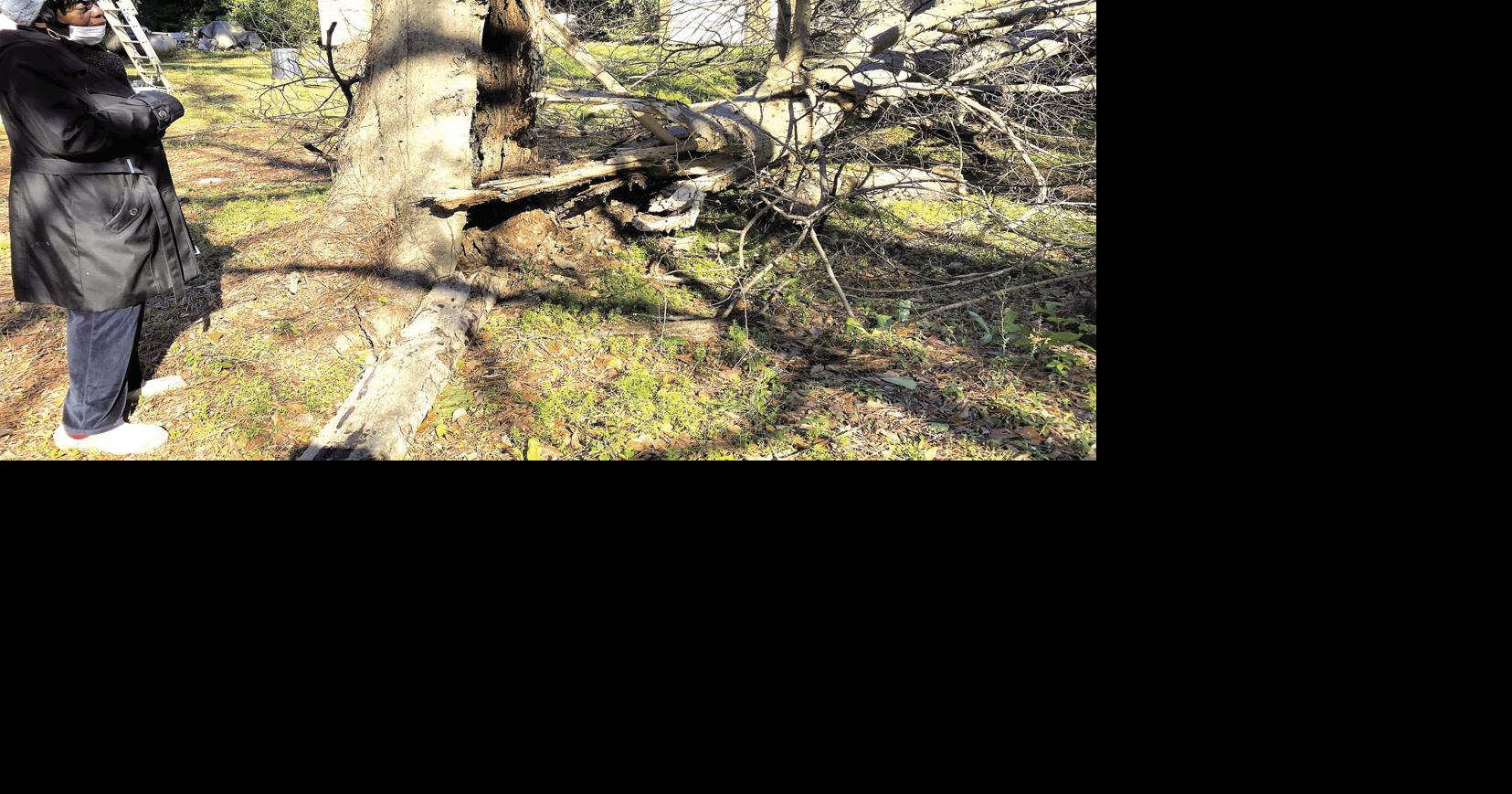 Orangeburg woman ‘blessed’ when tree hits vehicles, sparing home; ‘At ...