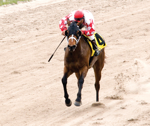 Elloree Trials Set for Saturday, March 24