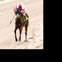 Elloree Trials Set for Saturday, March 24