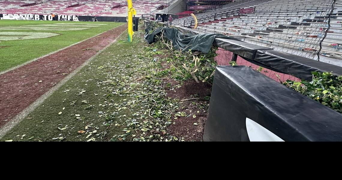Carolina surveys damage from Williams-Brice field storming