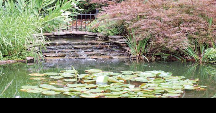 Coming soon: Garden walks at noon