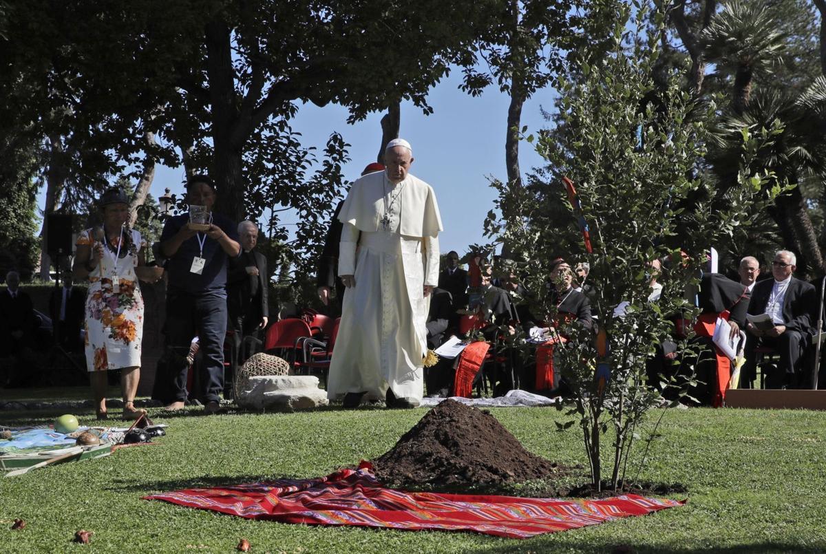 Pope: Use pandemic to give the environment a vital "rest"