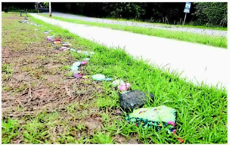 Growing a rock snake