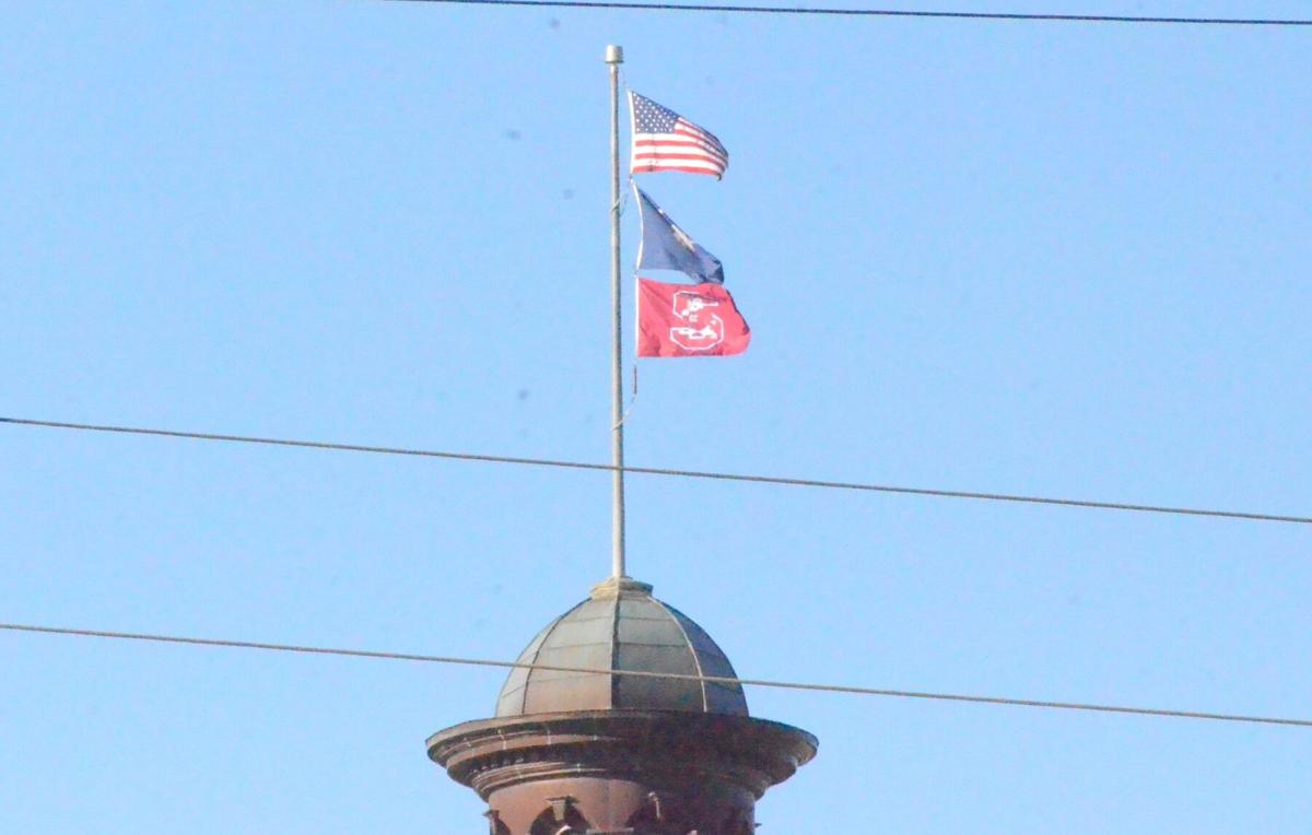 SC State fans gather at Statehouse for celebration