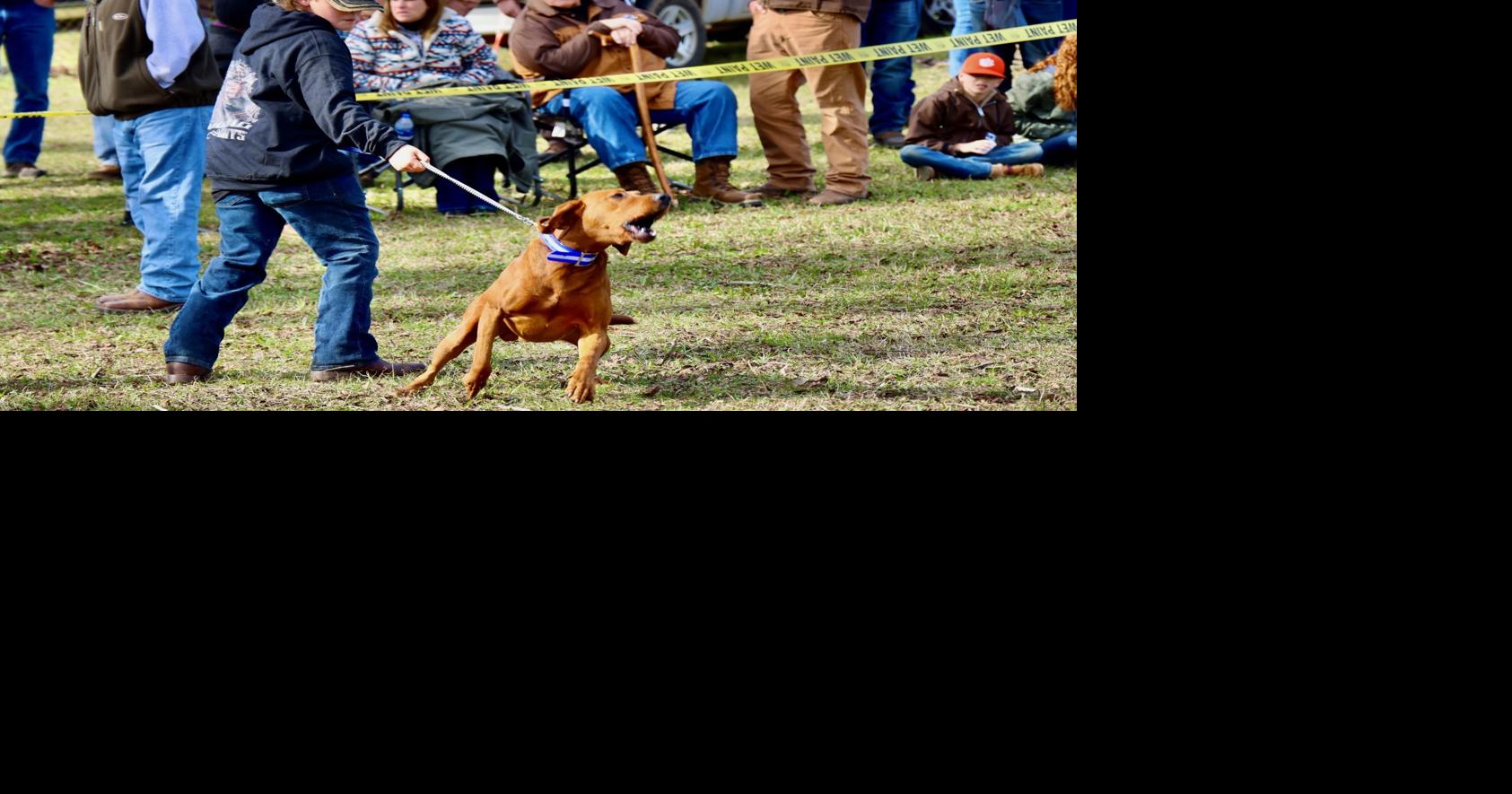 IN PHOTOS: Friday at the 2022 Grand American Coon Hunt