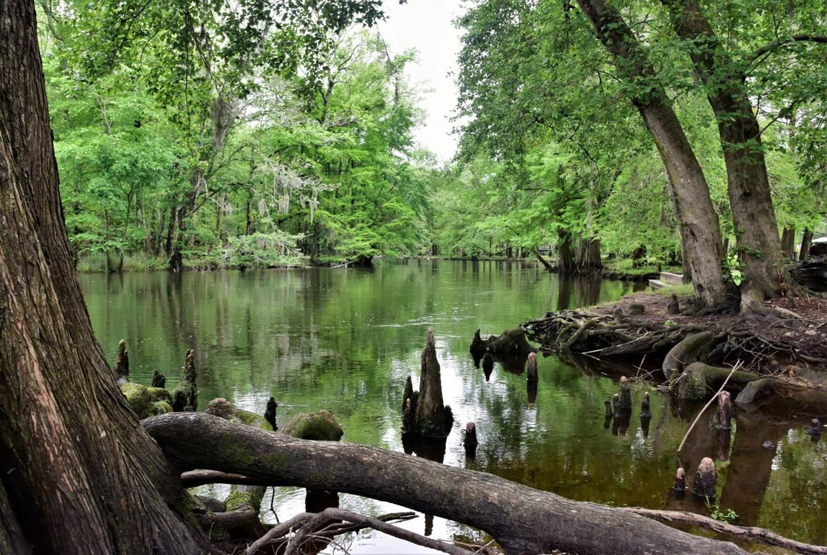 Finishing the dreams from our past