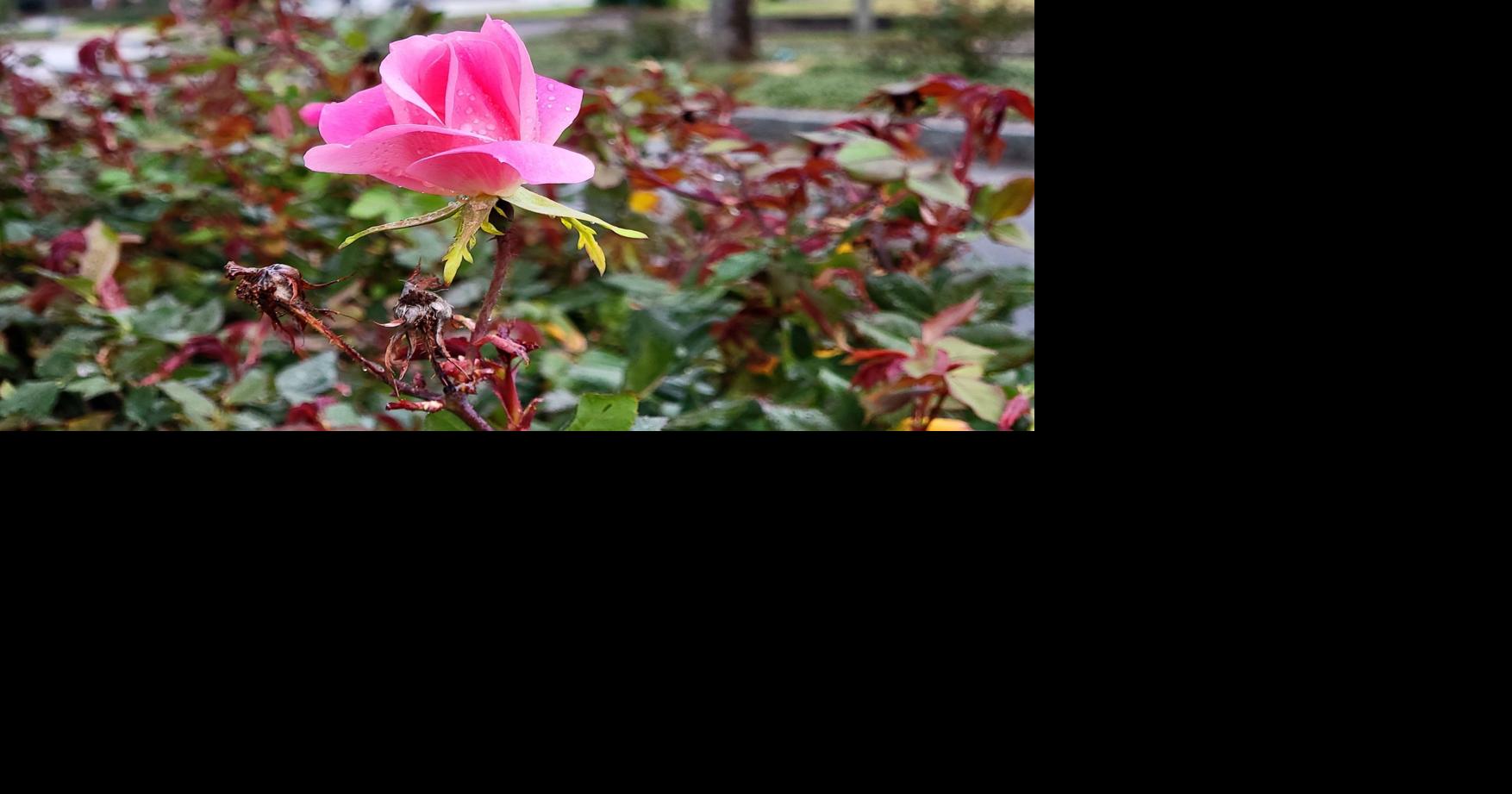 ‘We were very fortunate this time,’ official says; region spared severe ...