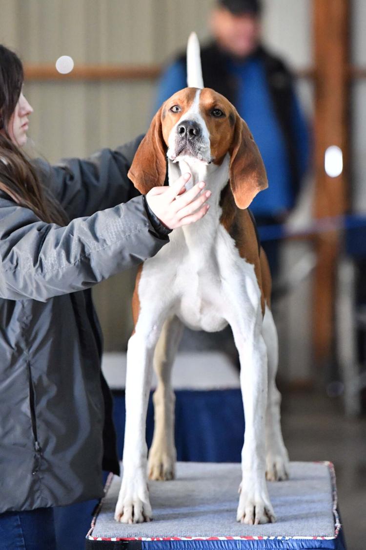 GRAND AMERICAN COON HUNT: How the event came to be