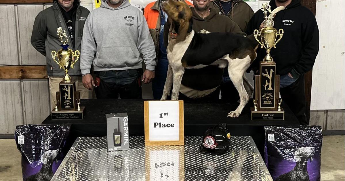 GRAND AMERICAN COON HUNT: The hunt and 2022 final four