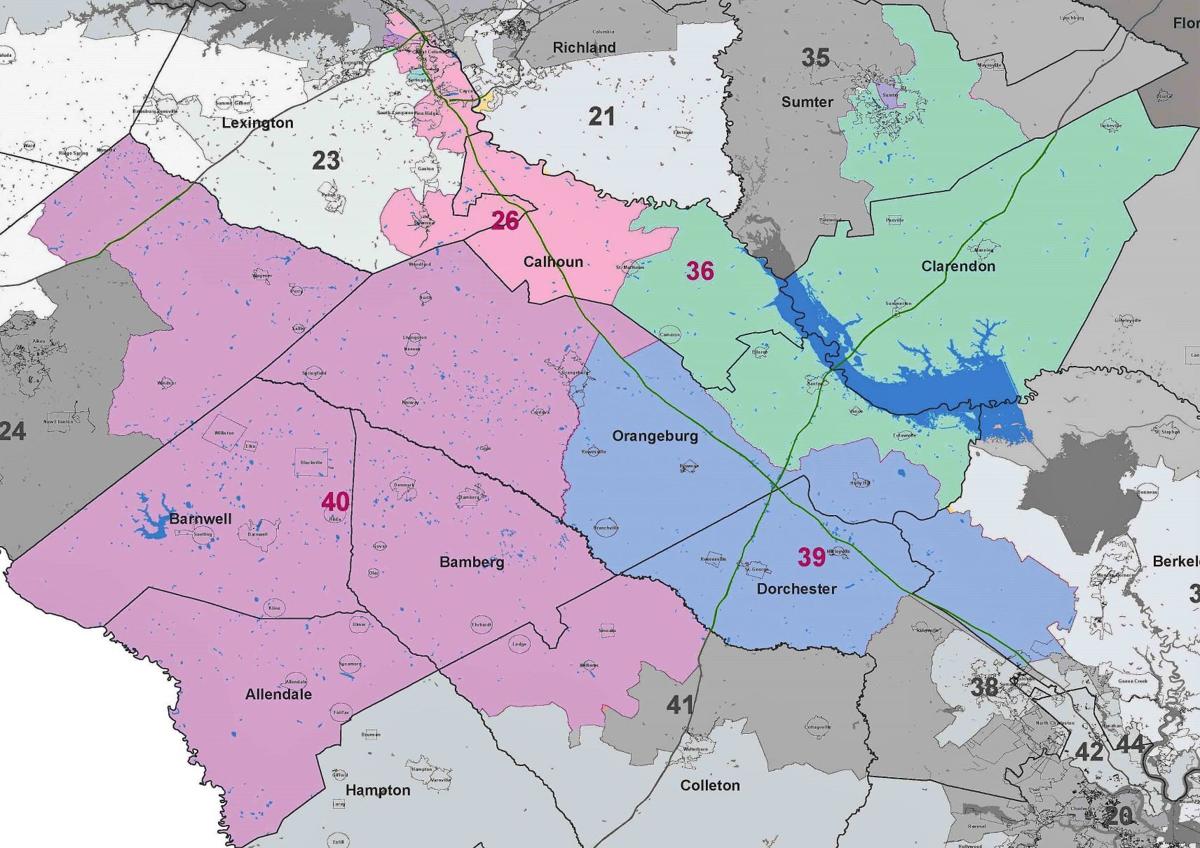 Stephens: ‘We are not going to give up’; Senate District 39 shifts ...