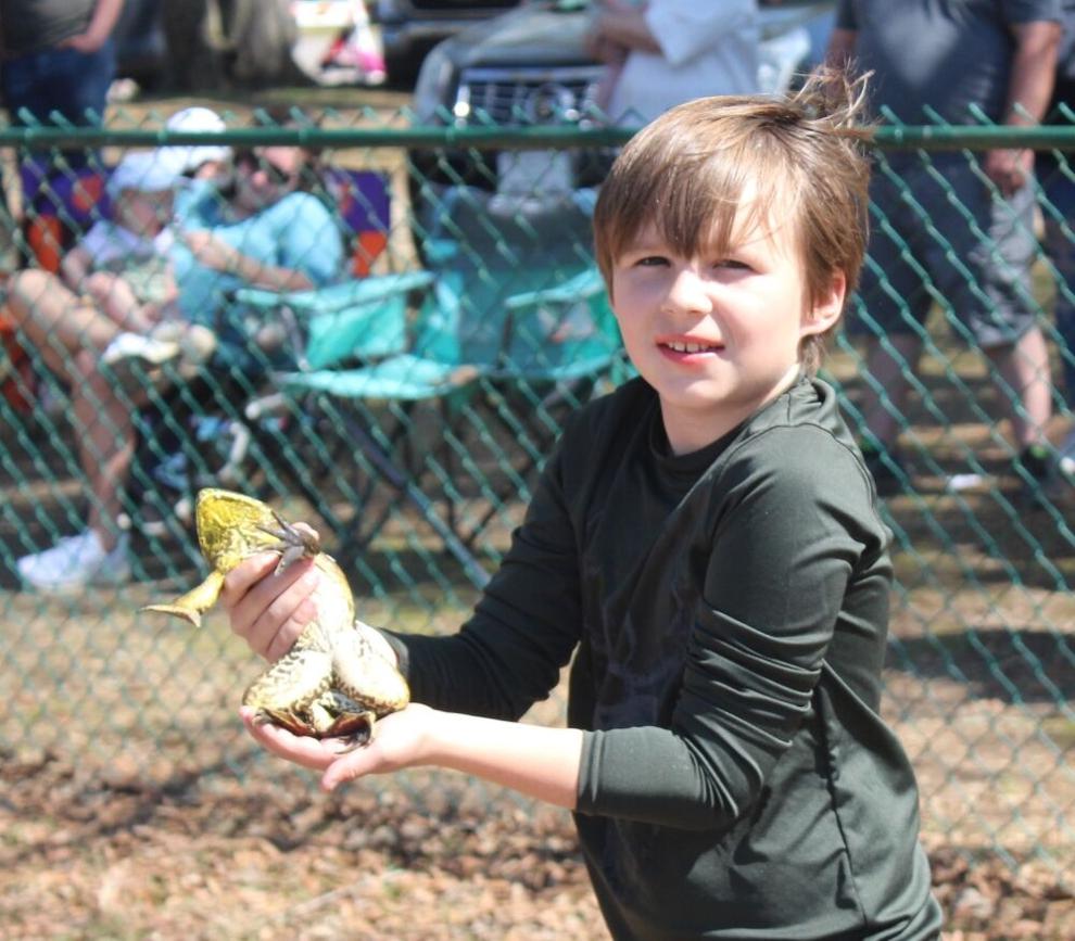 Springfield holds Governor's Frog Jump