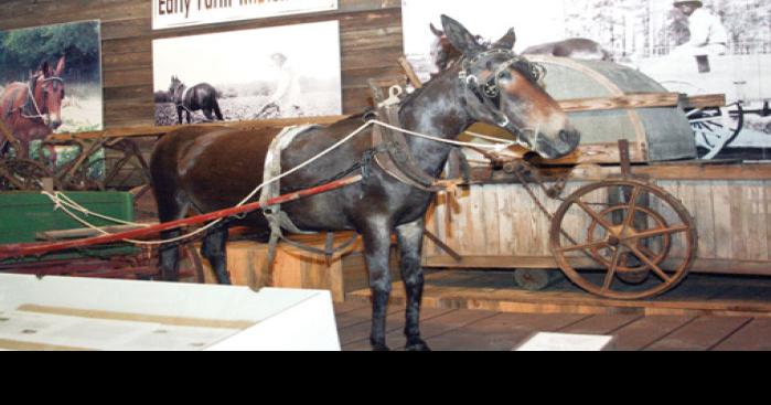100 OBJECTS/DAY 40: Elloree Heritage Museum exhibits depict early rural ...