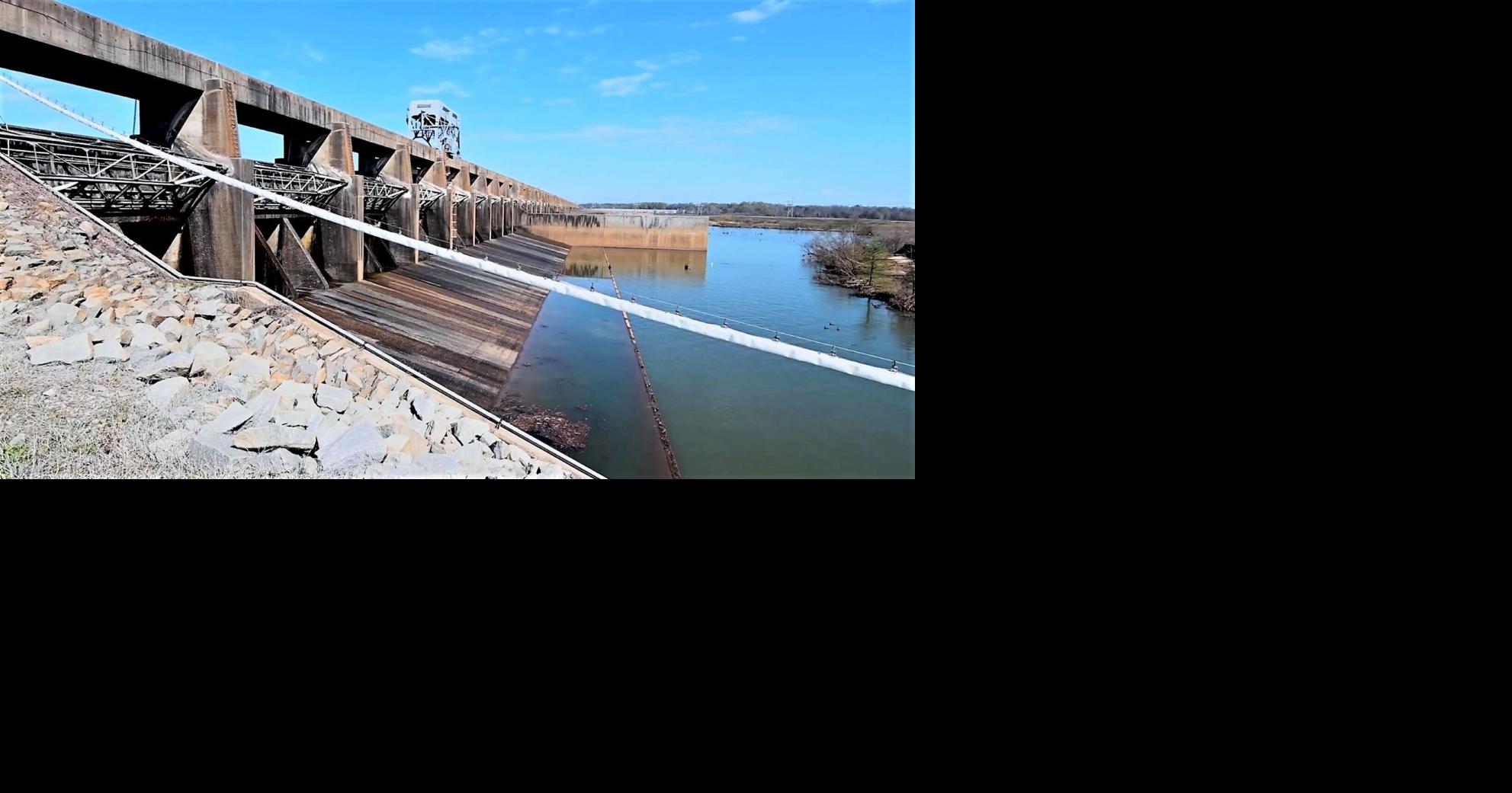 Fish swim to Lake Marion for first time in 80 years; project allowing ...