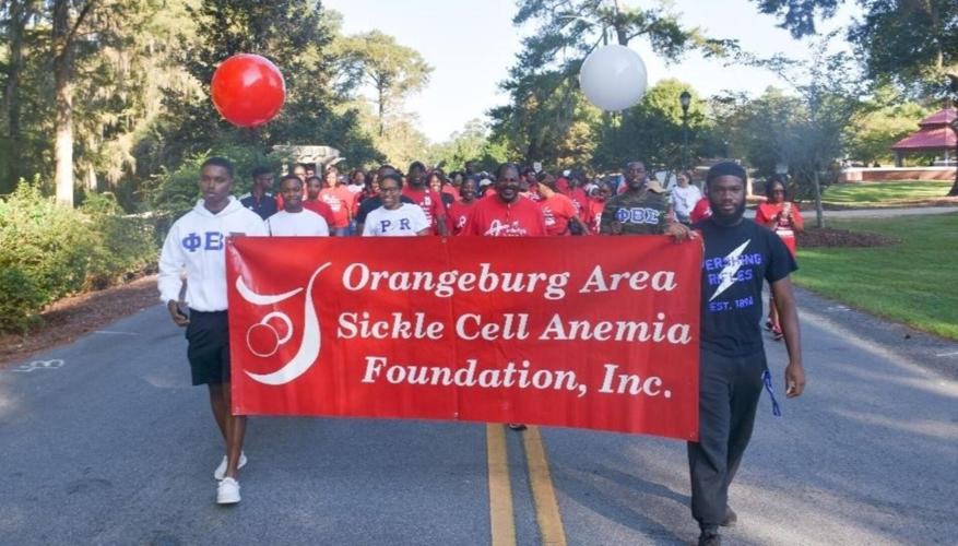 Sickle Cell Foundation holds ‘one of best’ walks