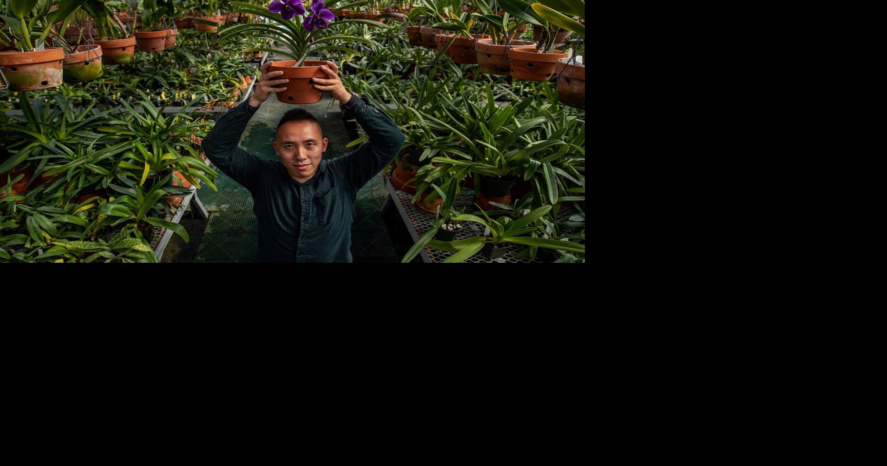 Orchids and corpse flowers delight him. A curator explains their ...