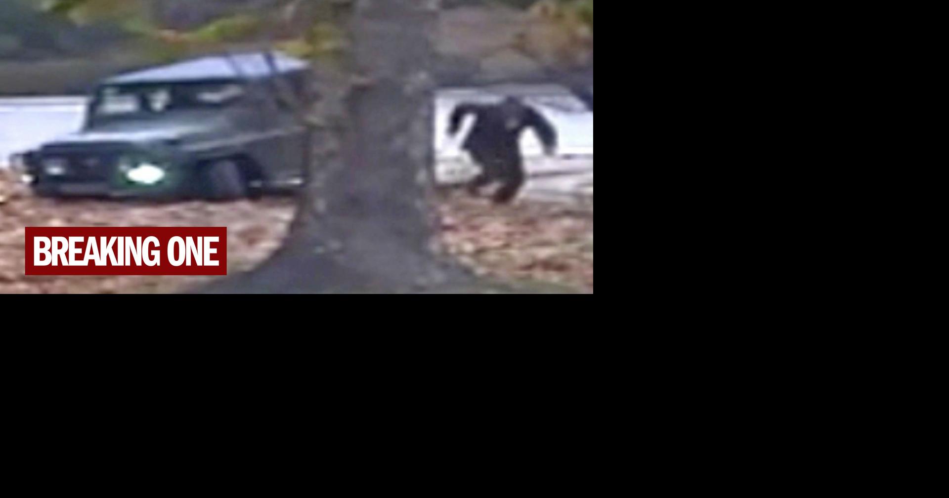 Cold War drama: North Korean defector's daring escape caught on video
