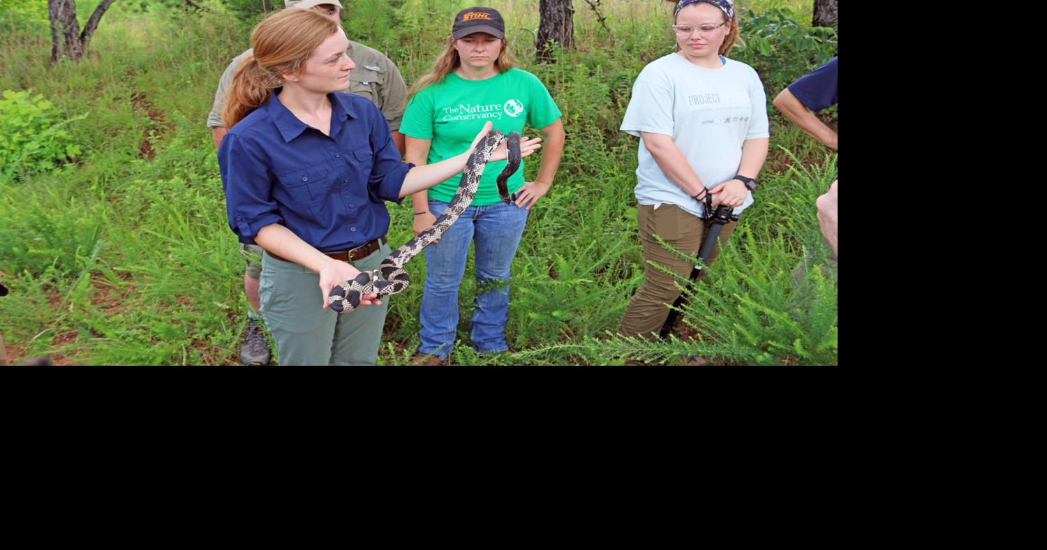 Clemson researchers leading multistate effort to unlock mysteries of ...