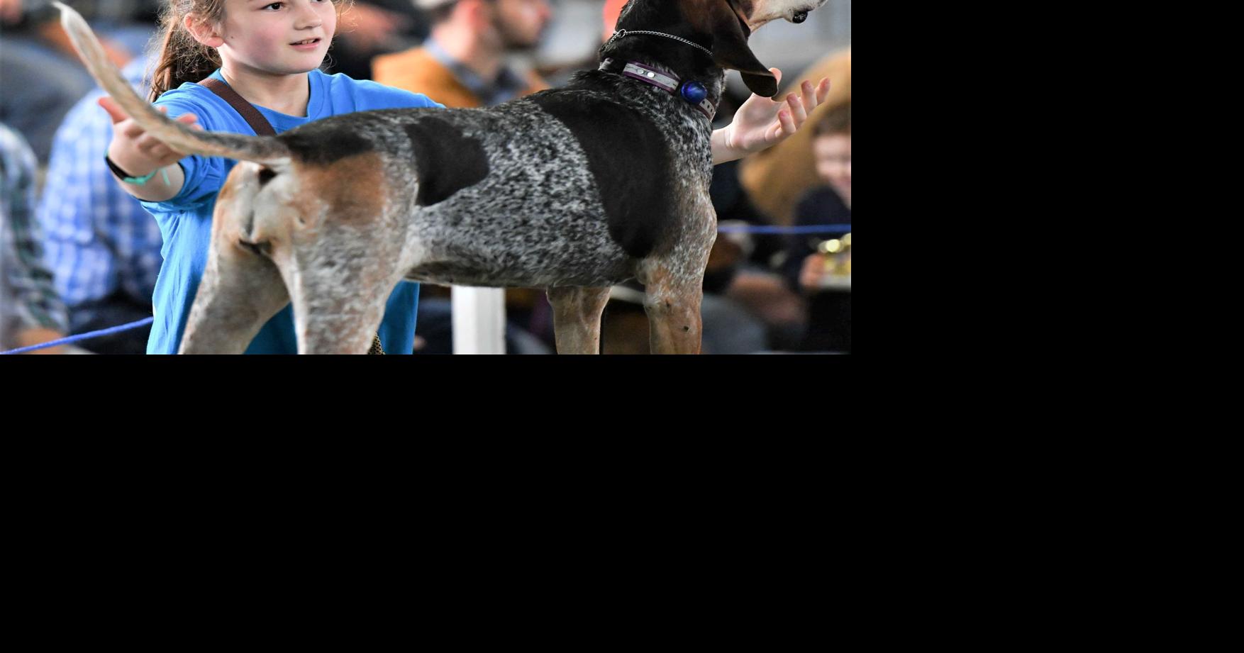 GRAND AMERICAN COON HUNT: Friday Nite Hunt won by The Judge from ...