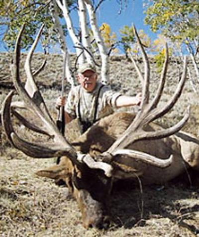 World's largest elk gets attention