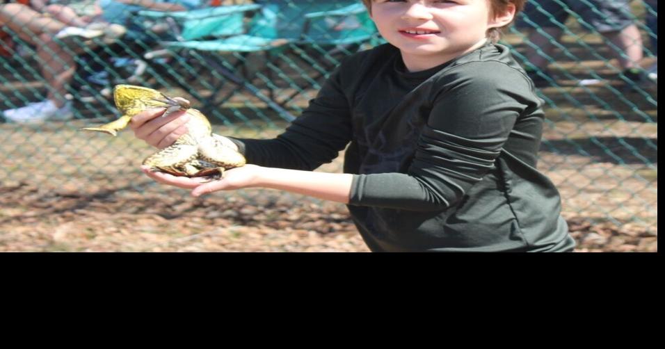 Springfield welcomes spring with frog jumps, egg striking