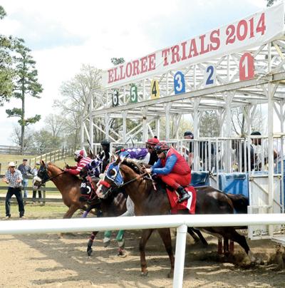 ‘Unseen’ winner of Elloree Cup