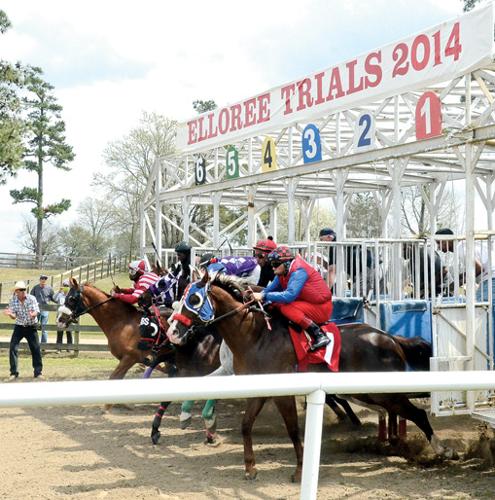 ‘Unseen’ winner of Elloree Cup