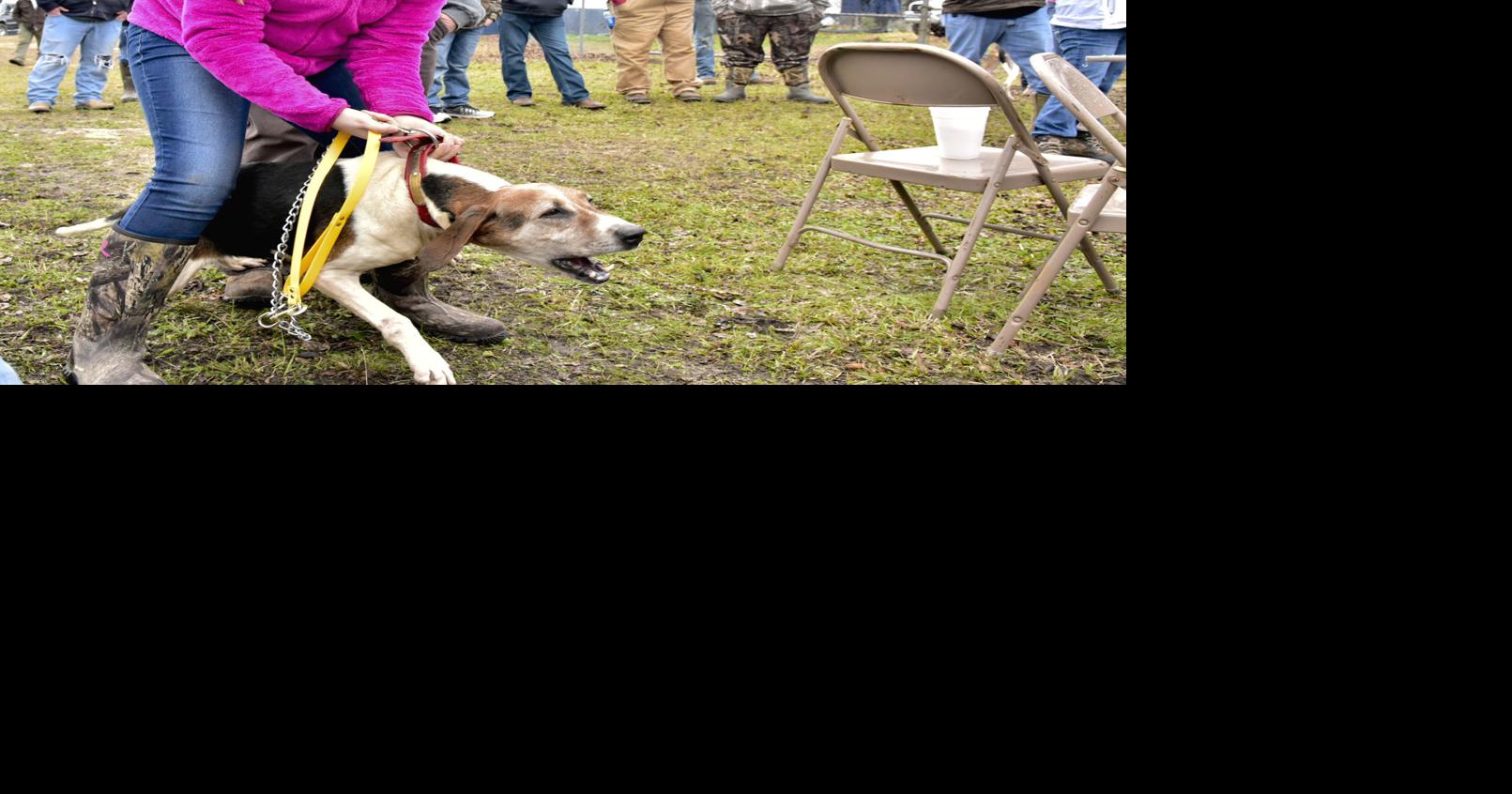 GRAND AMERICAN COON HUNT: How the event came to be