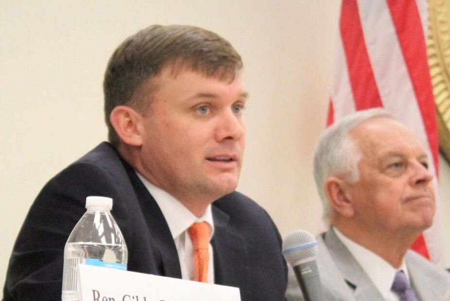 Ott is SC Chamber's House lawmaker of the year