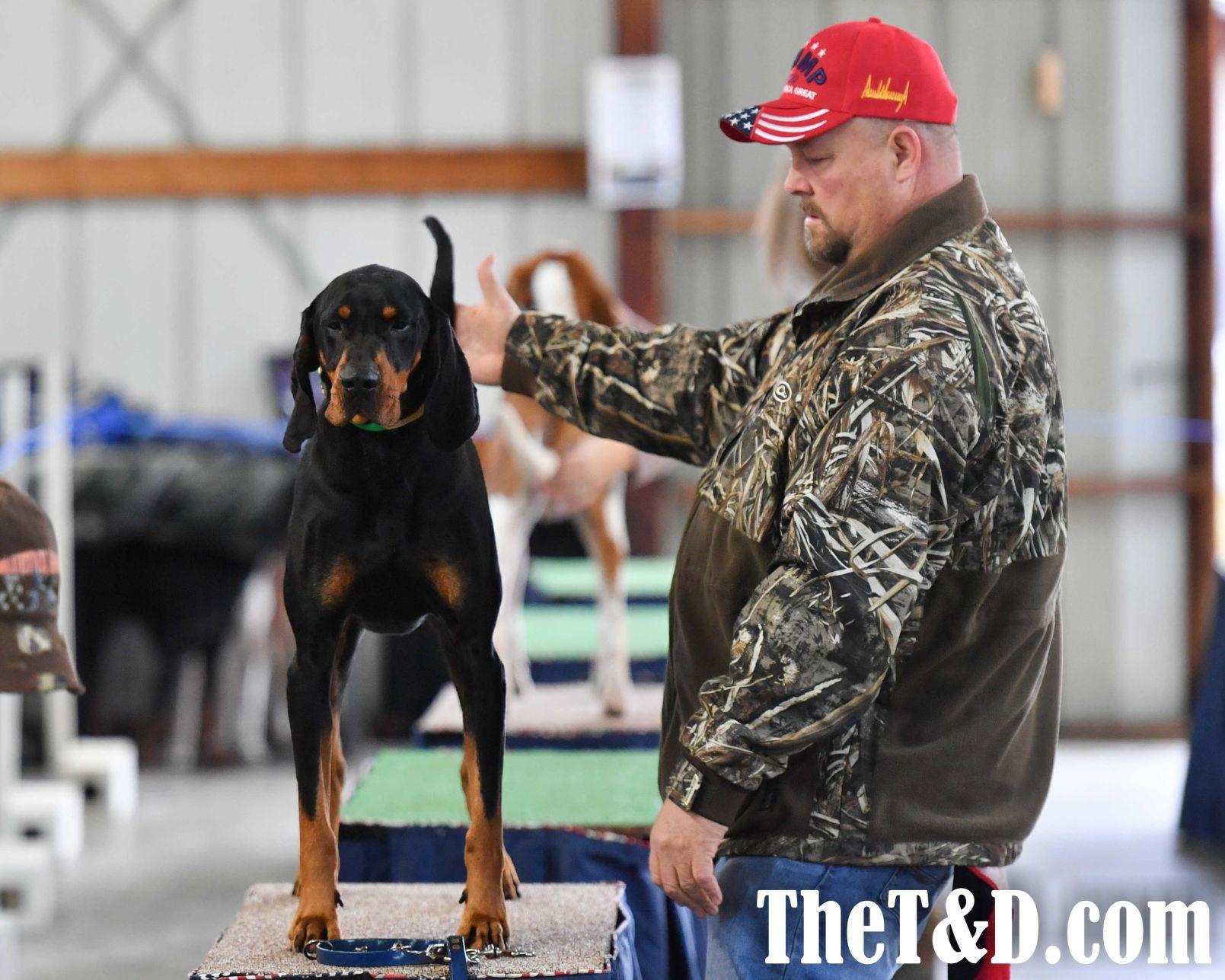 IN PHOTOS: Saturday at the Grand American Coon Hunt