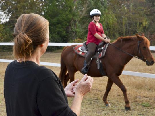 Equine Therapy