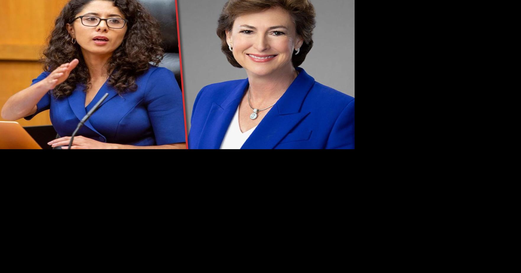 Former Harris County District Attorney Defends Indictments of County ...