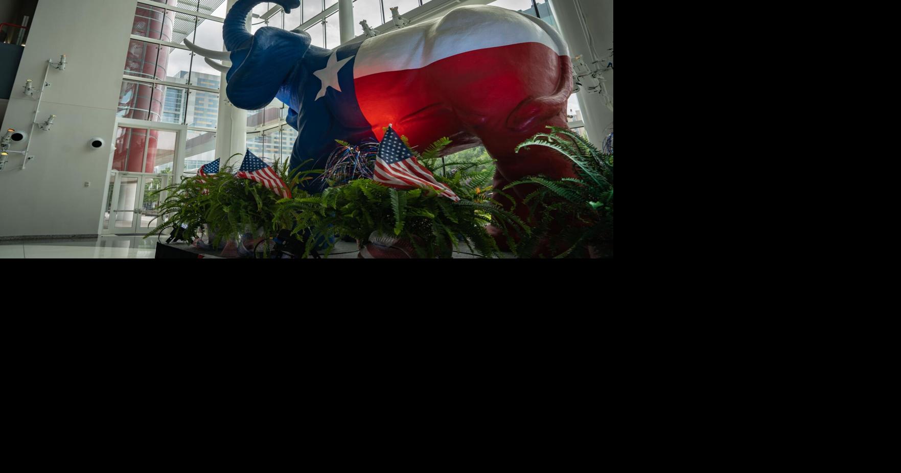 Texas Young Republican Federation Votes to Disassociate with State GOP ...