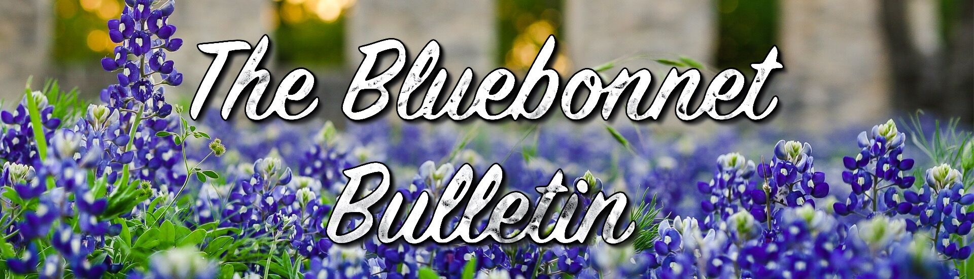 The Bluebonnet Bulletin: Breaking Generational Cycles | Bluebonnet ...