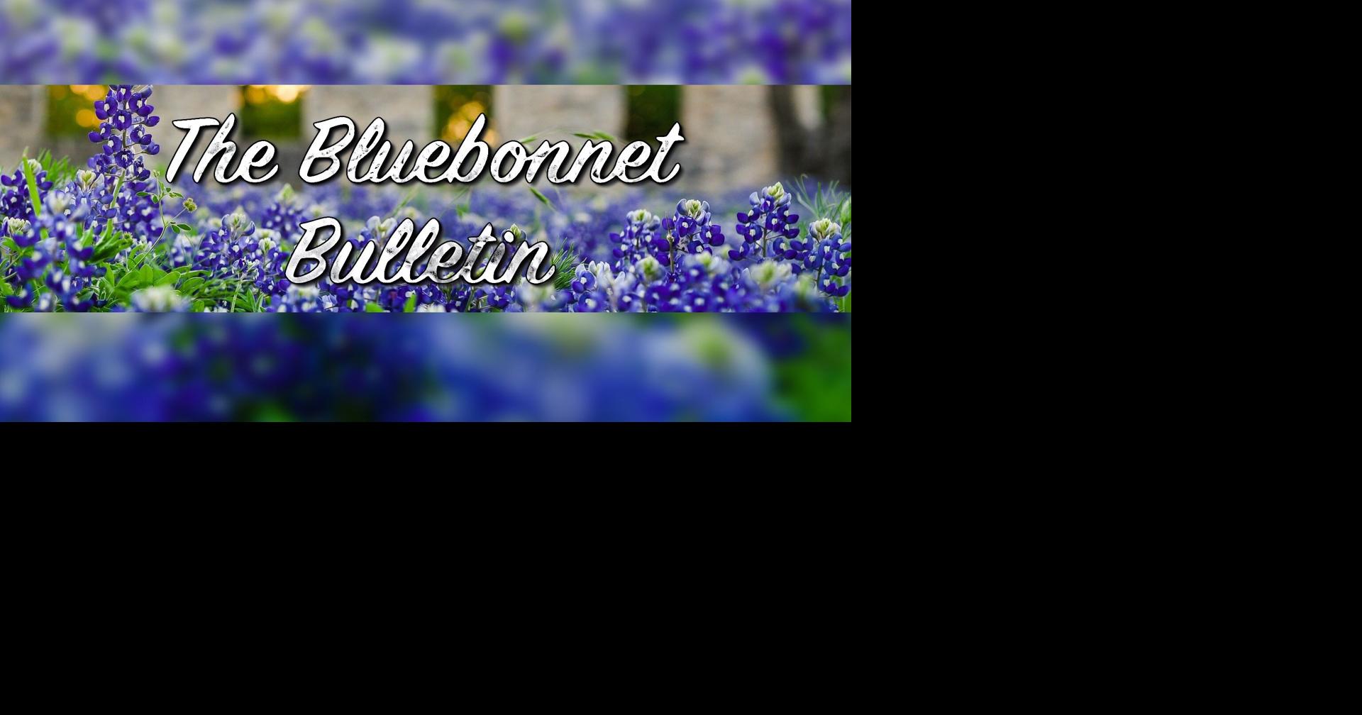 The Bluebonnet Bulletin: Redeeming Women from Exploitation | Flipboard