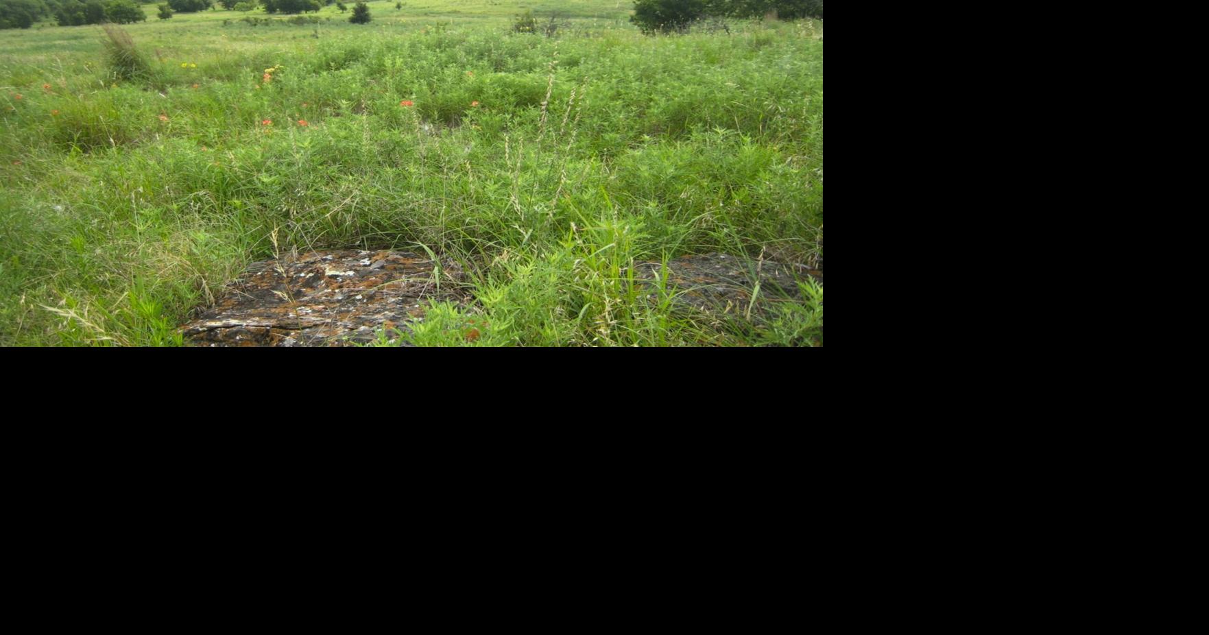 TCEQ Approves Permit to Build Lake Ringgold Reservoir in Clay County ...