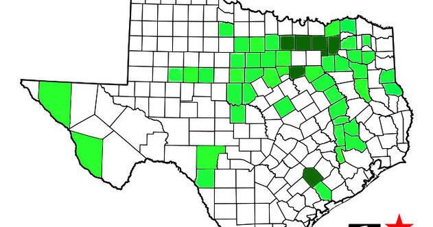 Texas Counties Passing Pro-Second Amendment Resolutions Surpasses 50 ...