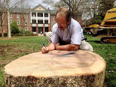 Ice storm claims another victim: 140-year-old oak removed at Elon ...