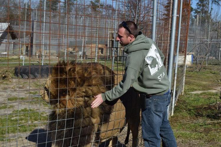 Fulfilling work: Conservators Center staff shares experiences with ...