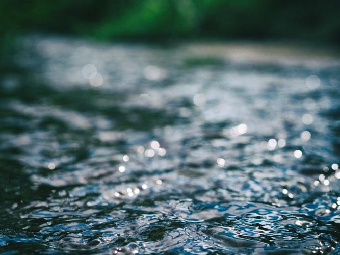 8 things to do this weekend in Alamance County | Features ...