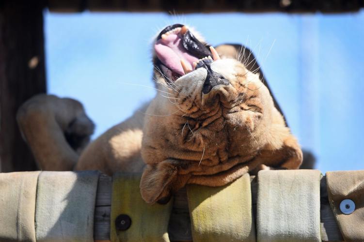 Alamance County's top 10 places to visit | Entertainment | thetimesnews.com