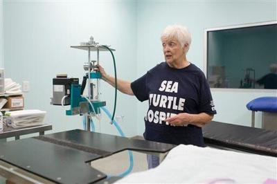 New sea turtle hospital opens for public tours | News | thetimesnews.com