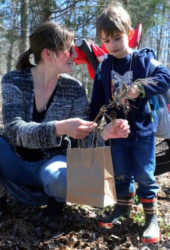 PHOTOS: Arbor Day Celebration at Beth Schmidt Park in Elon | News ...