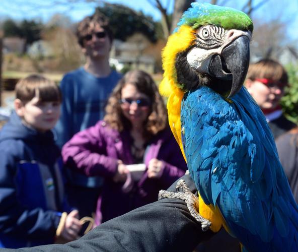 PHOTOS: Arbor Day Celebration at Beth Schmidt Park in Elon | News ...